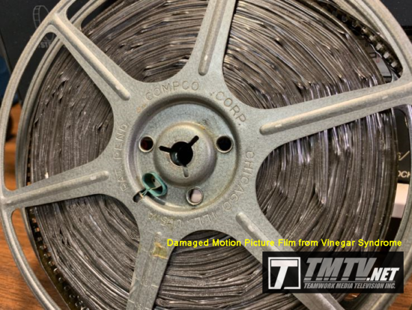 TMTV STUDIOS - Latest News & Updates Archives | TMTV