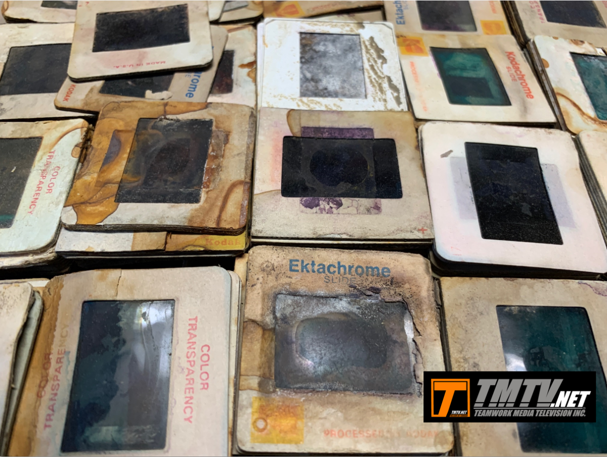 TMTV STUDIOS - Latest News & Updates Archives | TMTV