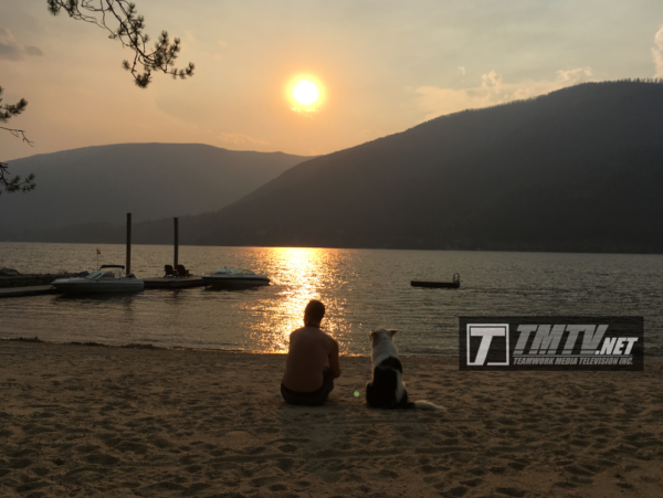 TMTV - Film Restoration & Recovery, Scanning, Video & Audio Conversion